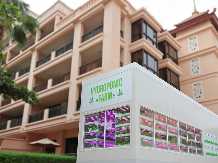 Its Full Green Ahead For The World's Largest Vertical Farm & Smallest ...